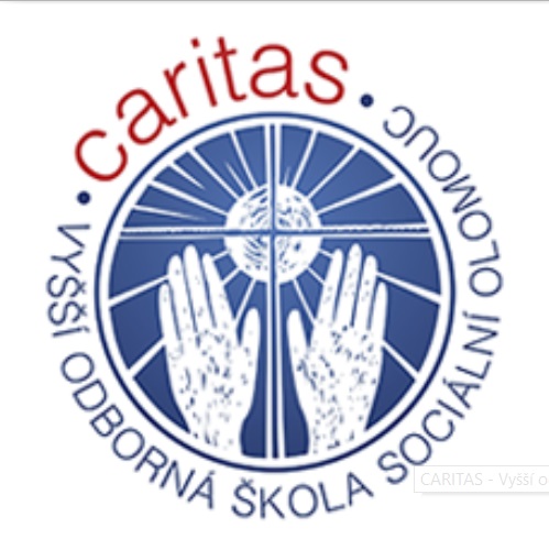 Quality Assurance of Placements in Social Services: CARITAS - PROCSEE